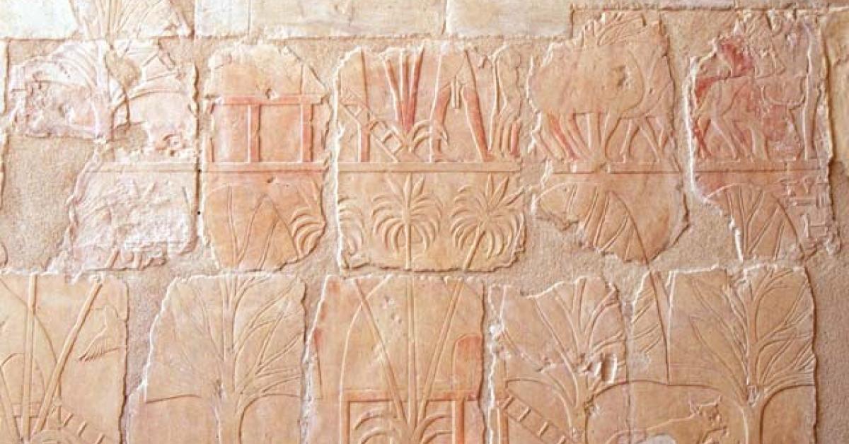 The Myriad Muses in Myrrh: Part 2 ~ 1001 Past Tales