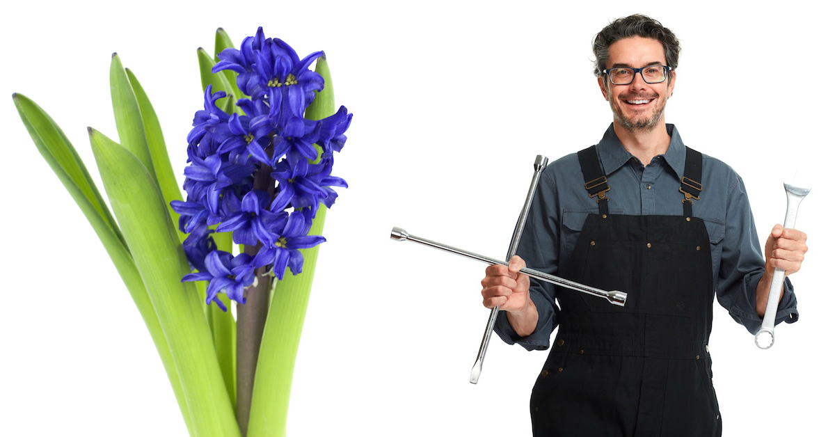 New Fragrance Review: Tauerville “Hyacinth and a Mechanic” ~ Fragrance ...