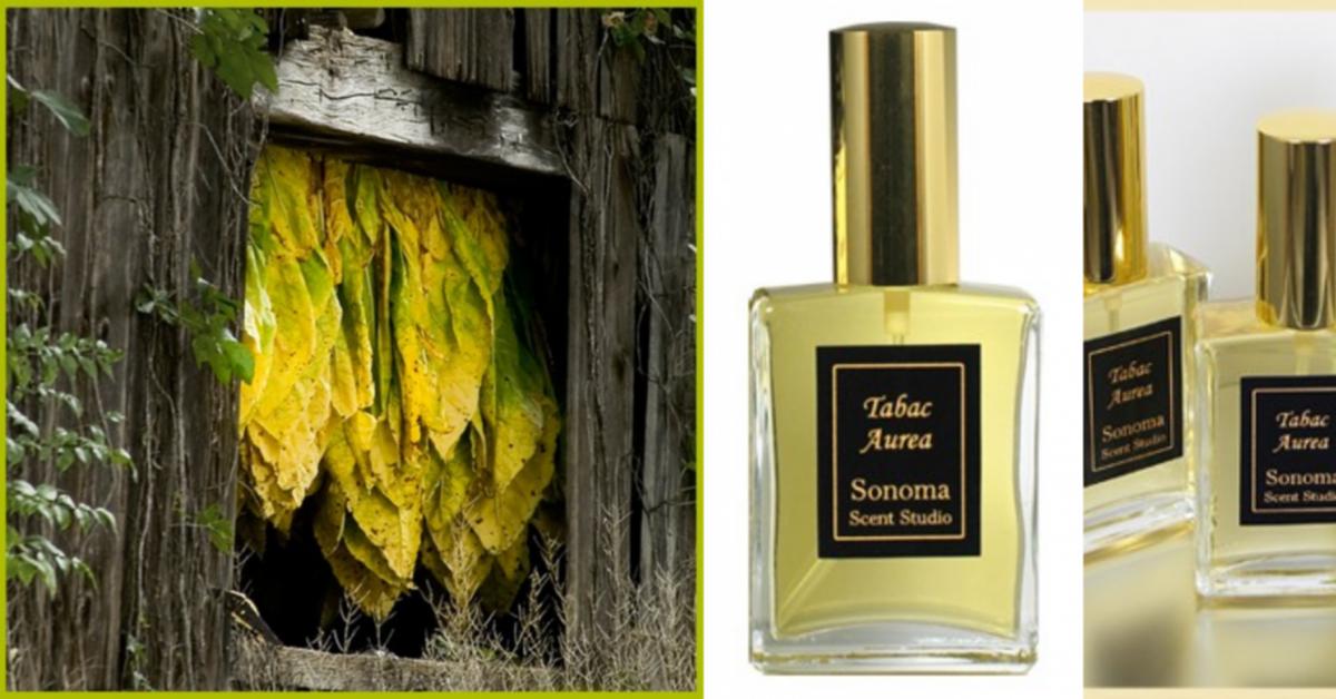 Sonoma Scent Studio Tabac Aurea ~ Fragrance Reviews