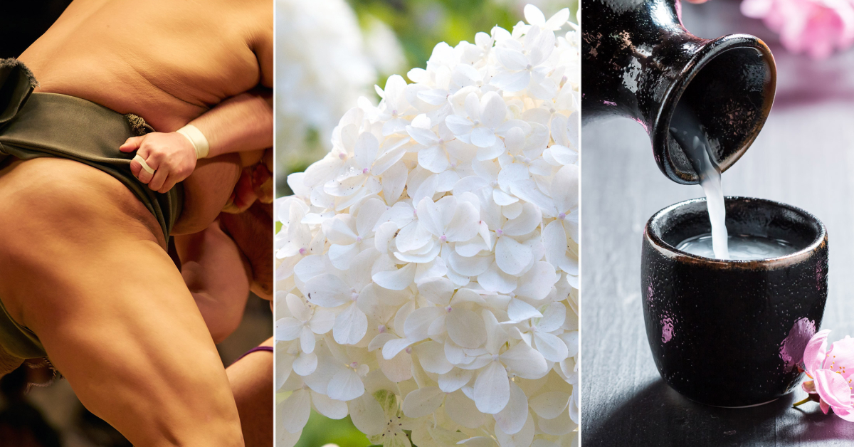 J-Scent: Ponoření... Sumo, saké a hortenzie ~ Recenze parfému