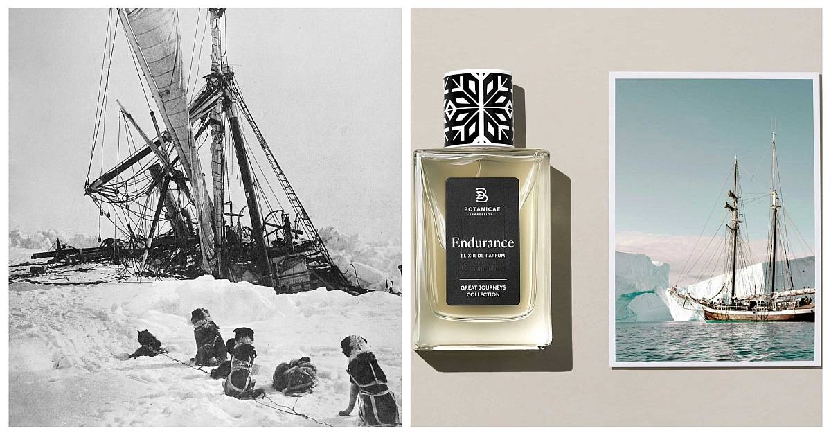 Endurance Botanicae: Kraft oder Widerstandsfähigkeit? ~ Reviews