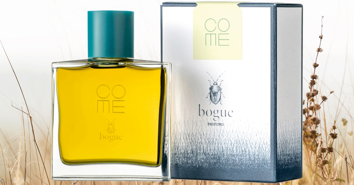Bogue Profumo sagt „COME!“ und es ist eine wilde Fahrt ~ Reviews