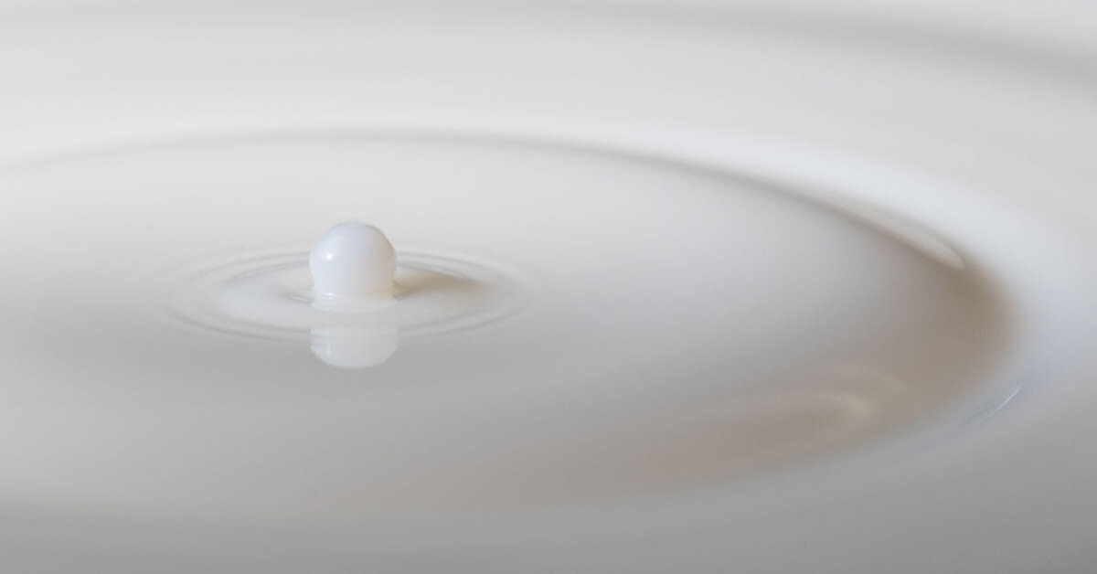 ¿Todo es miel y leche? ~ Columnas