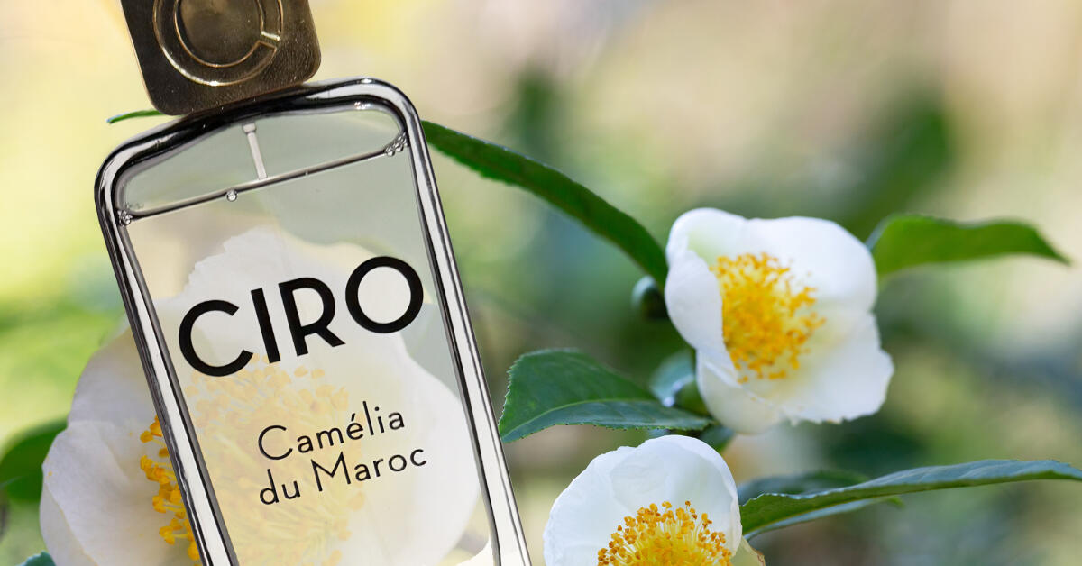 Camélia du Maroc Parfums Ciro ~ Reseñas Editoriales de Fragancia