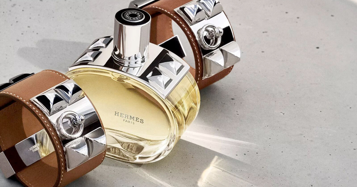 Barénia di Hermès: Il Flop dell'Anno o Un Altro Successo Commerciale? ~ Recensioni Editoriali