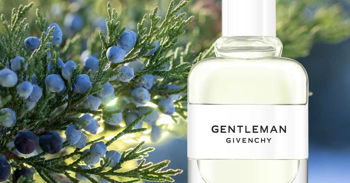 Resenha de Gentleman Givenchy Cologne ~ Avaliação de Fragrâncias