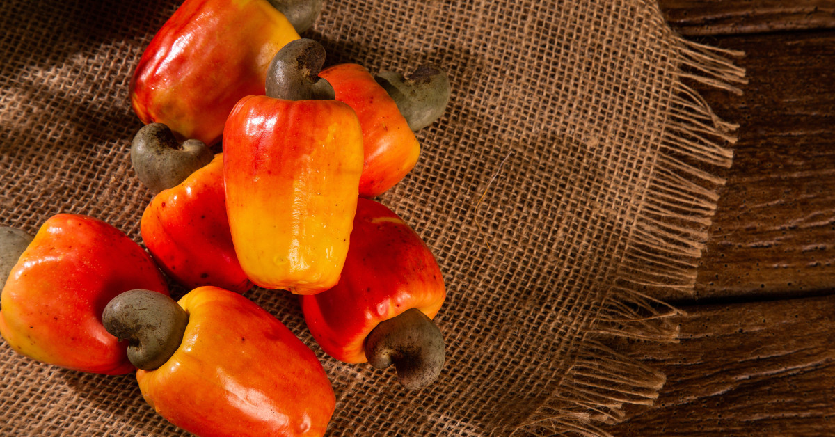 Aromas do Brasil do cajuí ao caju e a inesquecível cajuína ~ Coluna