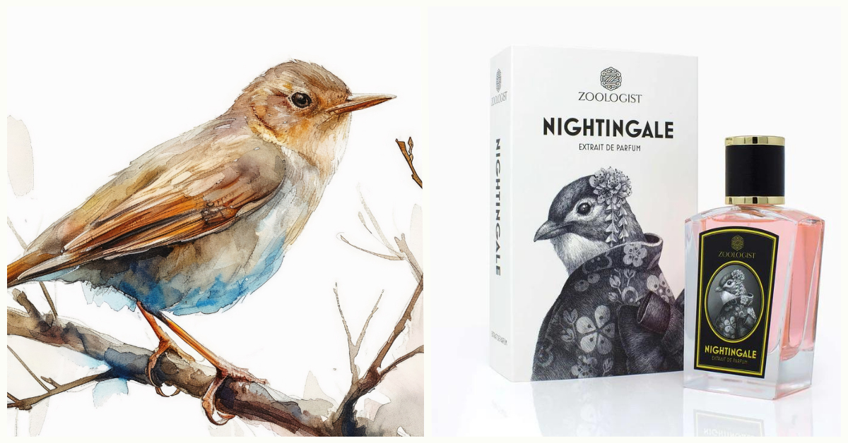 Nightingale Zoologist Perfumes: O Canto do Pássaro ~ Avaliação de ...