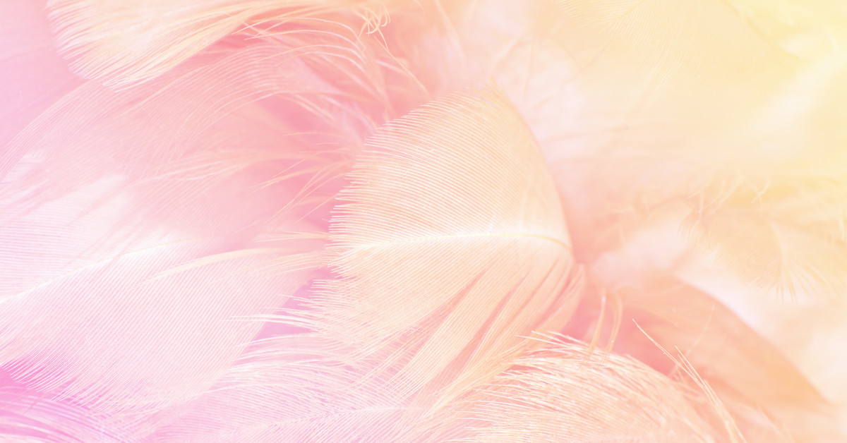 Ca un nor roz la apus: Explorarea "pufoșeniei" în parfumuri ~ Columne