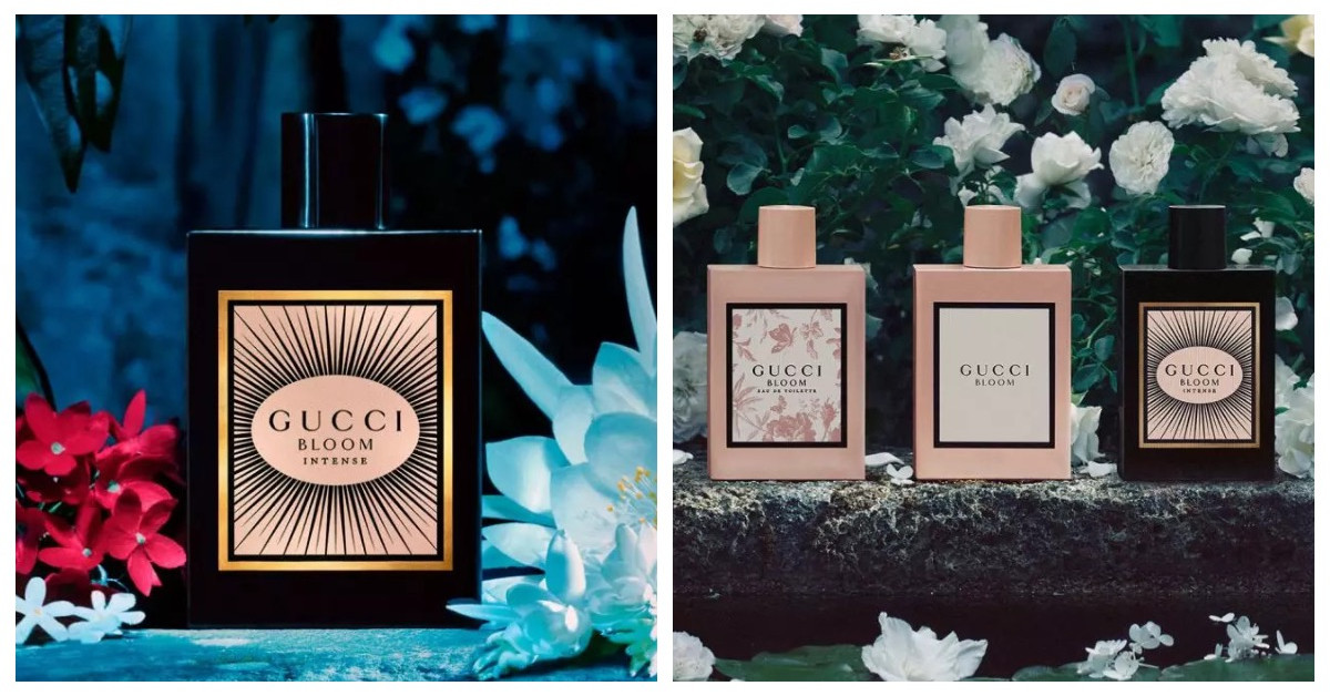 Gucci Bloom vs Bloom Intense: почти по-детски простой фланкер ...