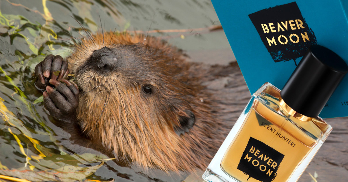 А У ВАС ЕСТЬ ДУХИ ДЛЯ БЛИЖАЙШЕГО ПОЛНОЛУНИЯ? «BEAVER MOON» SCENT ...