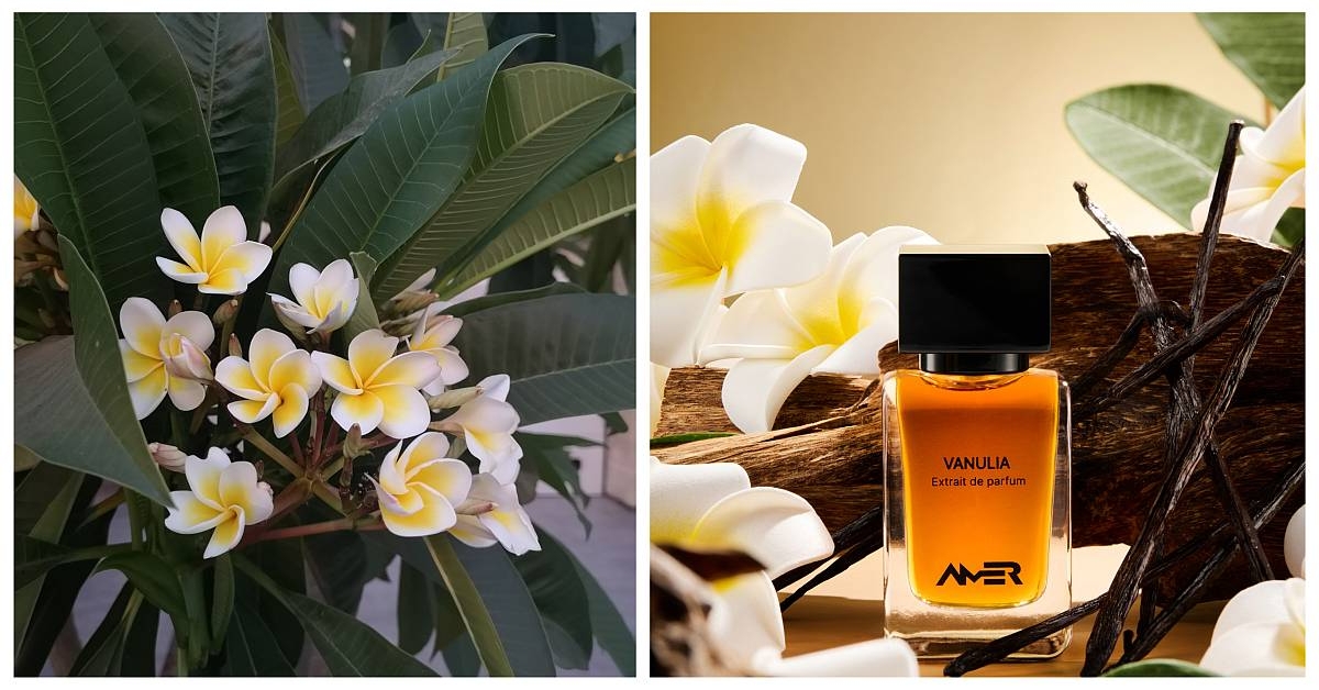 Vanulia: Новый аромат Amer Perfumes ~ Новые ароматы