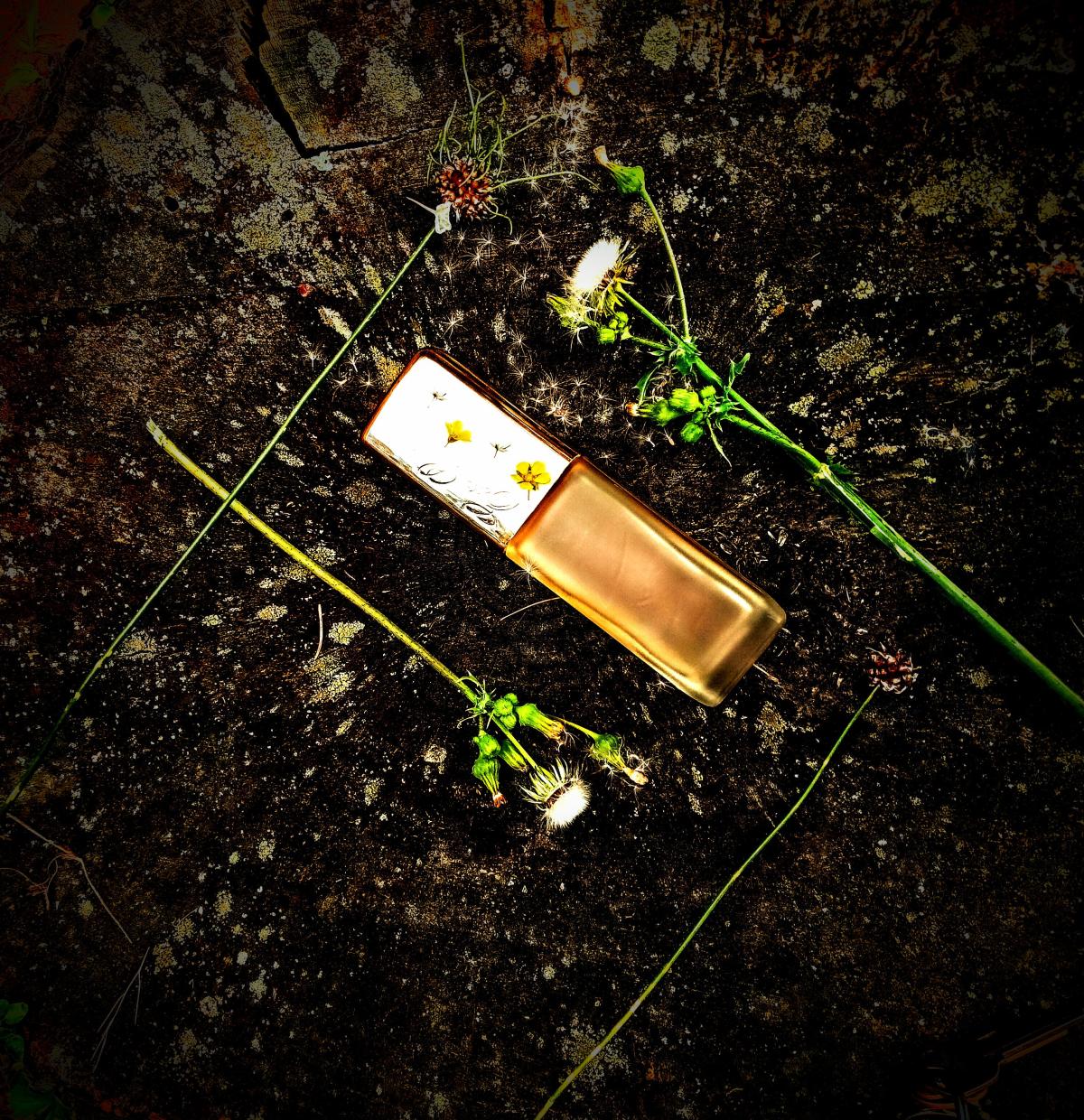 Eau de Private Collection Estée Lauder perfume - a fragrance for women