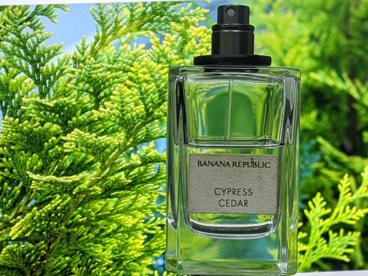 Cypress Cedar Banana Republic perfume - a fragrance for women and men 2018