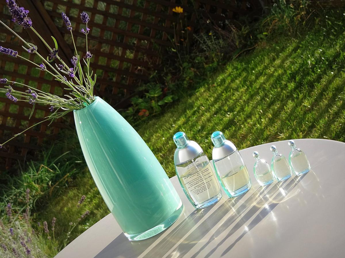 Eau d'Eden Cacharel perfume - a fragrance for women 1996