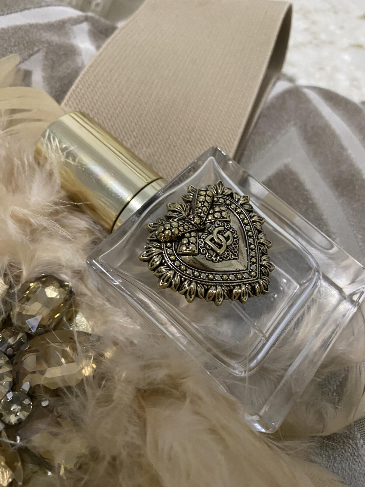 Devotion Dolce&Gabbana perfume - a new fragrance for women 2023