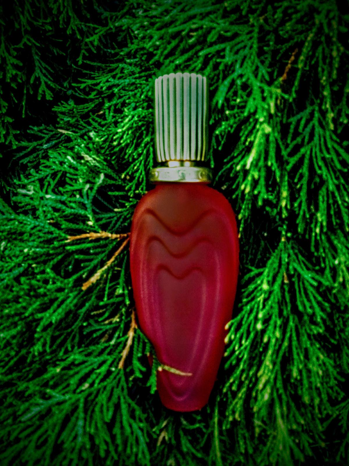 Un Ete En Provence Escada perfume - a fragrance for women 1994