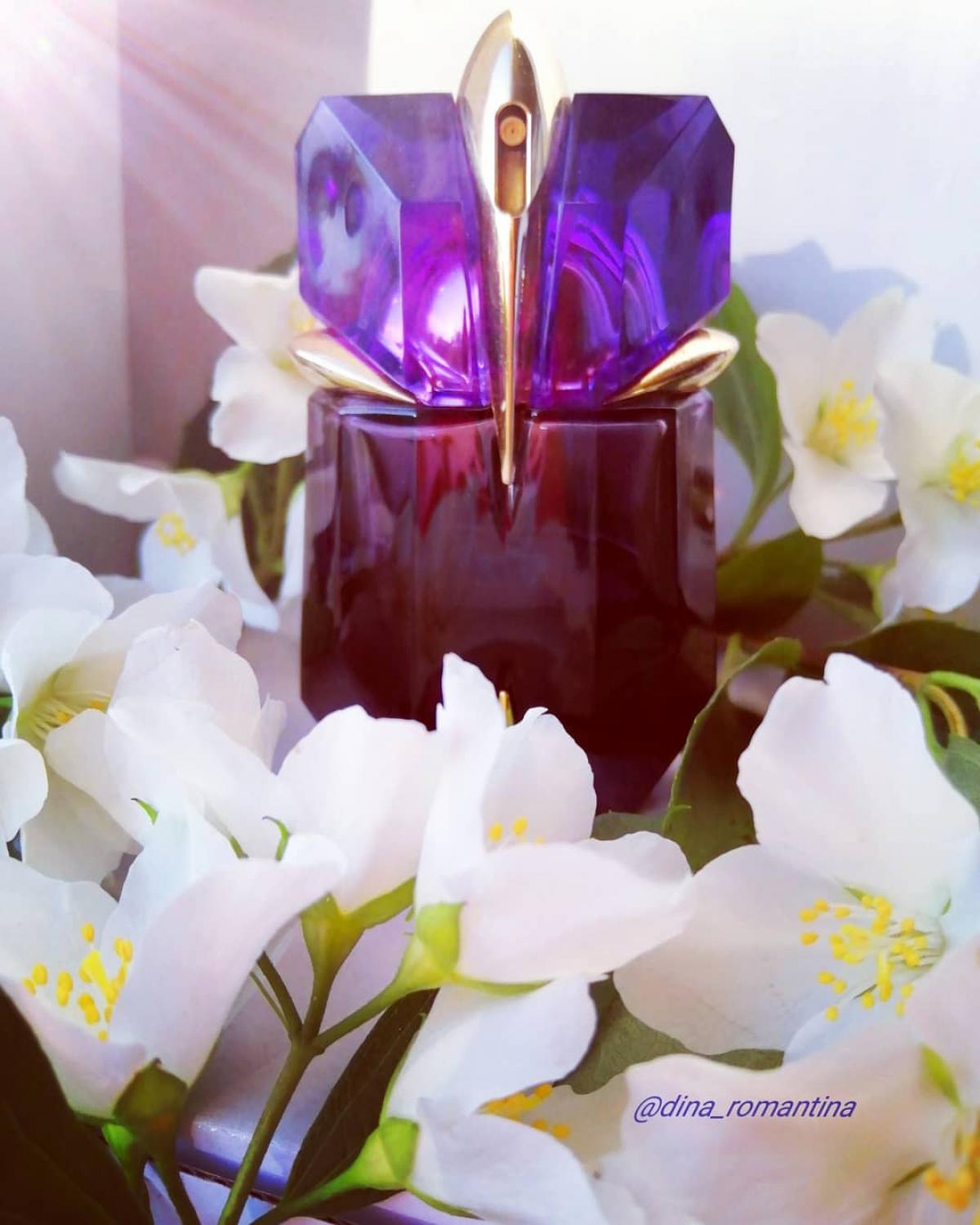 Alien Mugler perfumy - to perfumy dla kobiet 2005
