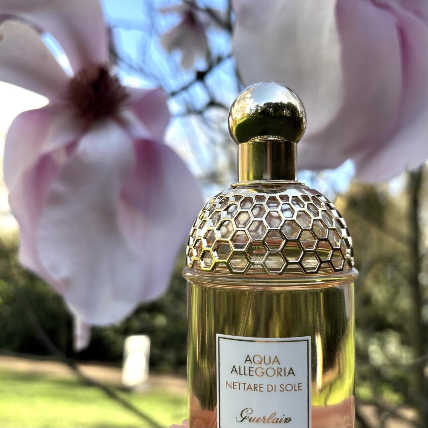 Aqua Allegoria Nettare di Sole Guerlain perfume - a fragrance for women ...