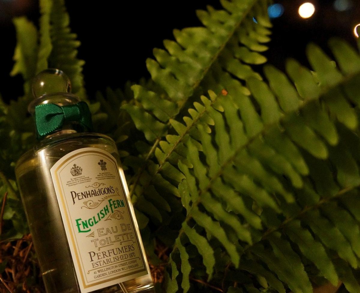 English Fern Penhaligon's perfume - a fragrance for women and men 1890