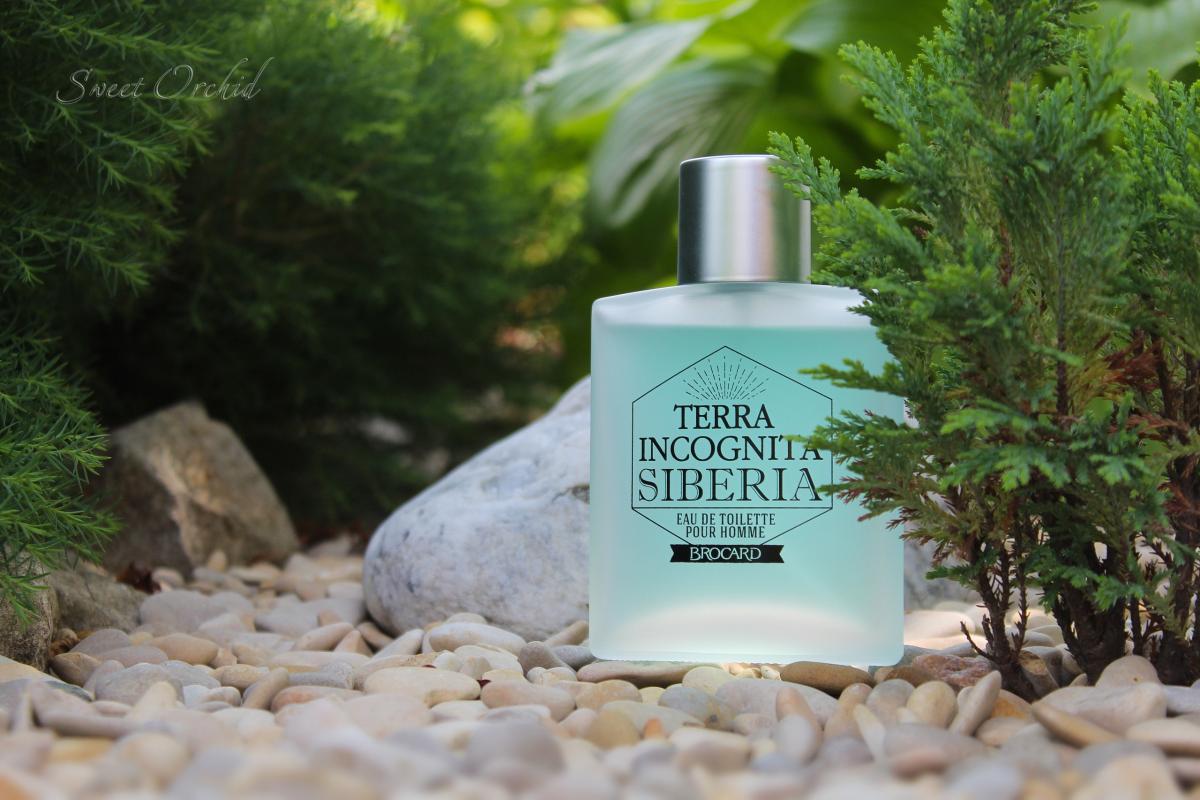 Terra Incognita Siberia Brocard perfume - a fragrance for women and men ...