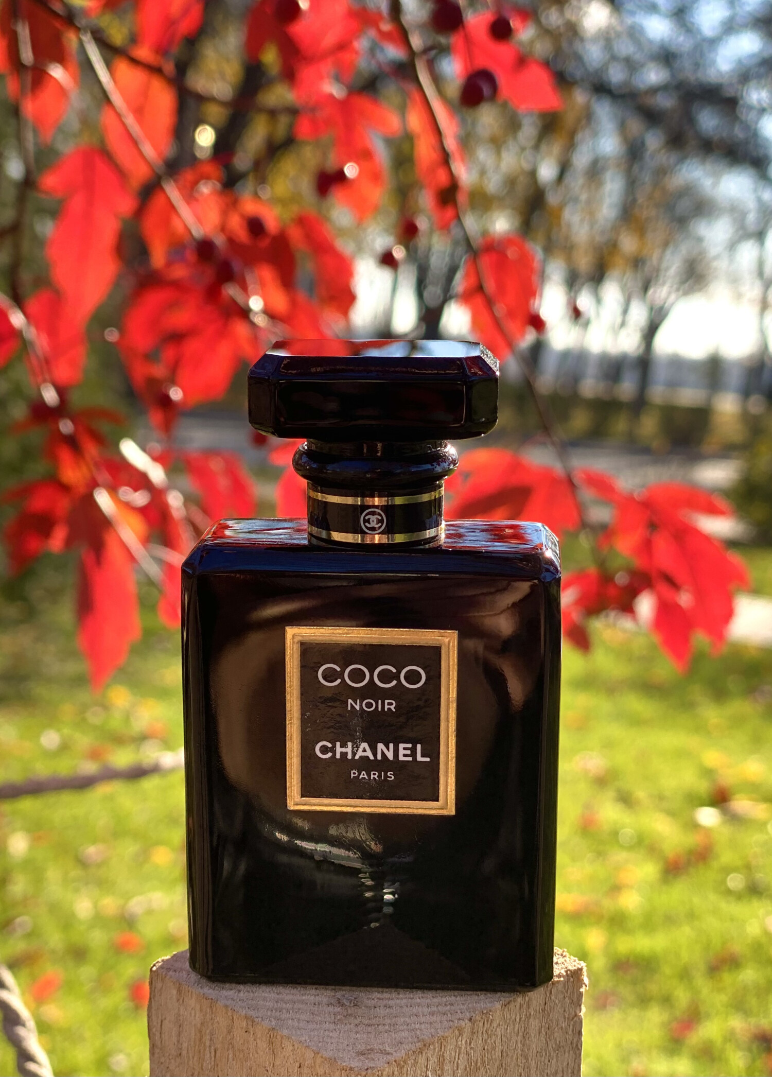 Coco Noir Chanel perfume - a fragrance for women 2012