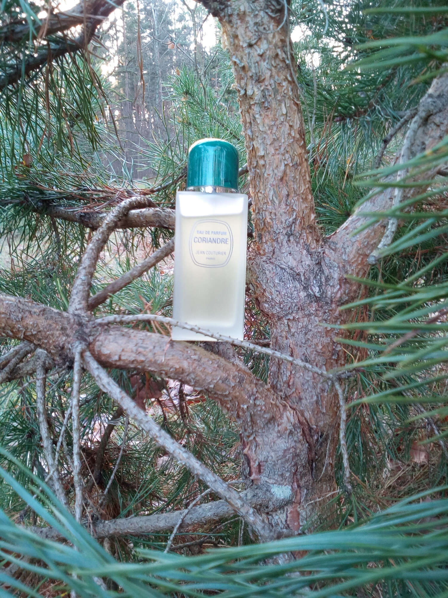 Coriandre Jean Couturier perfume - a fragrance for women 1973