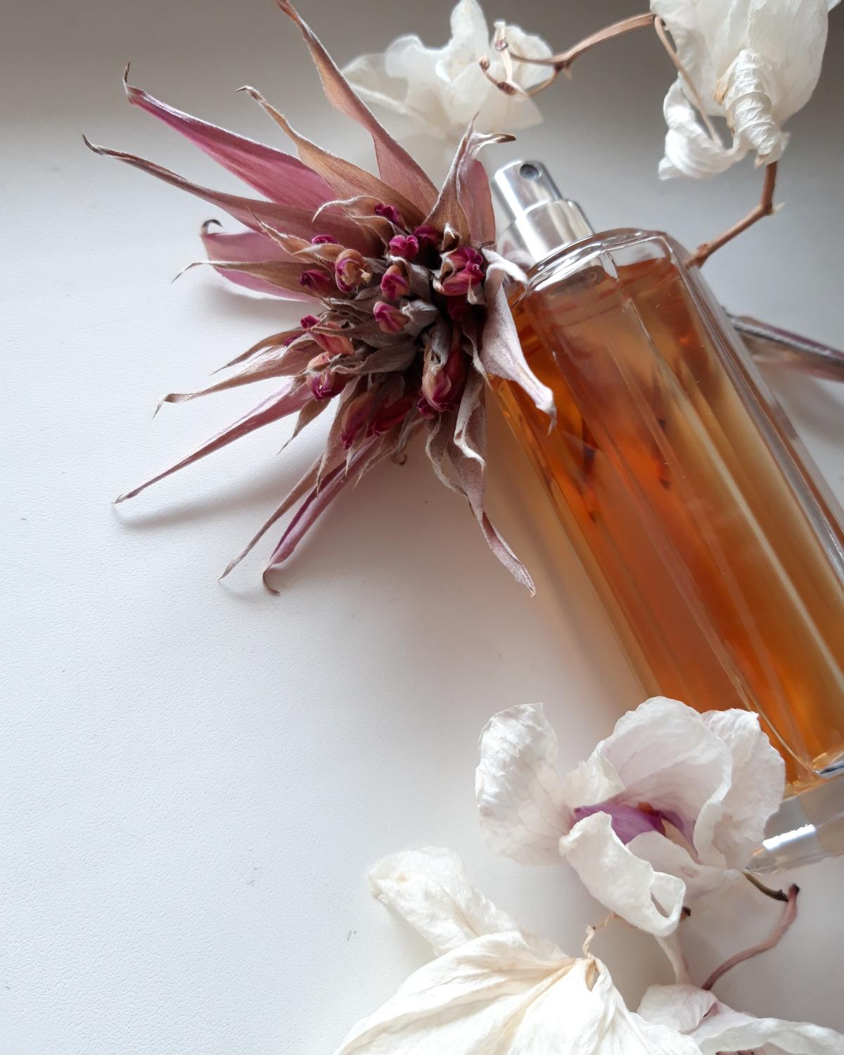 Escape Calvin Klein perfume - a fragrance for women 1991