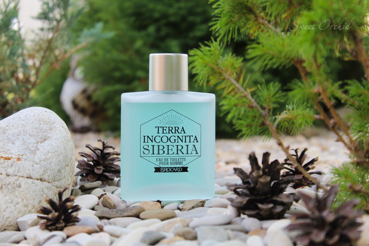 Terra Incognita Siberia Brocard perfume - a fragrance for women and men ...