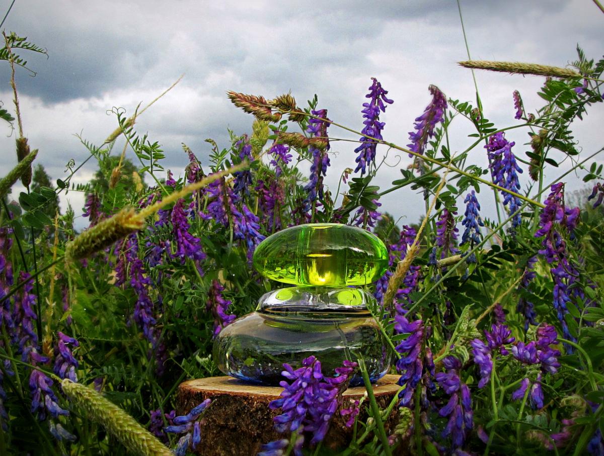 Elvie Firefly Oriflame perfume - a fragrance for women 2016