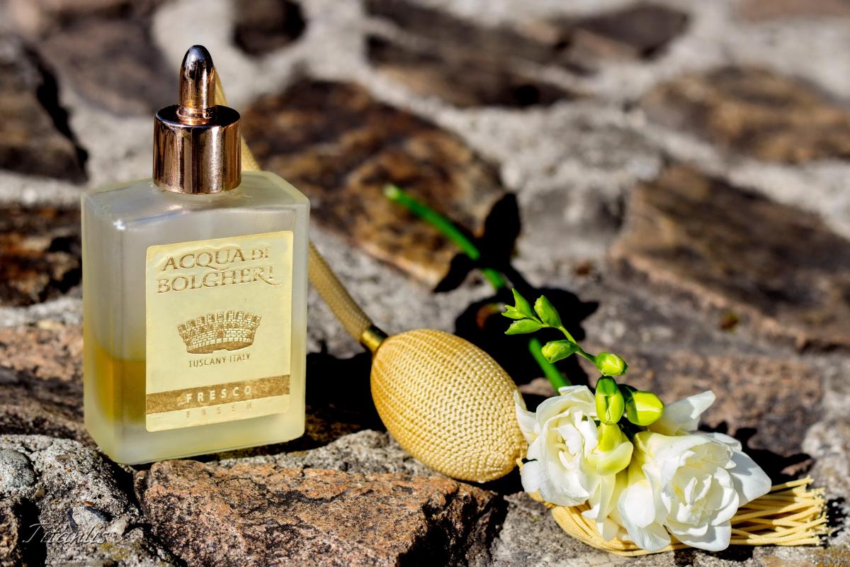 Fresco Dr. Taffi perfume - a fragrance for women and men