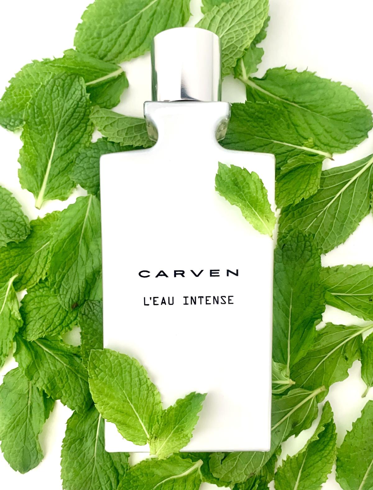 Carven L'Eau Intense Carven cologne - a fragrance for men 2016