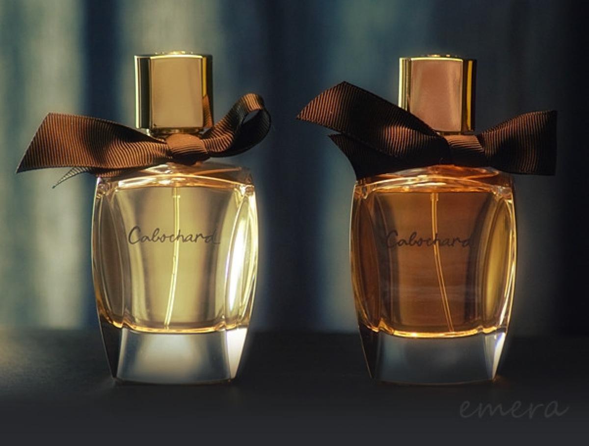 Cabochard Eau de Parfum 2019 Grès perfume - a fragrance for women 2019