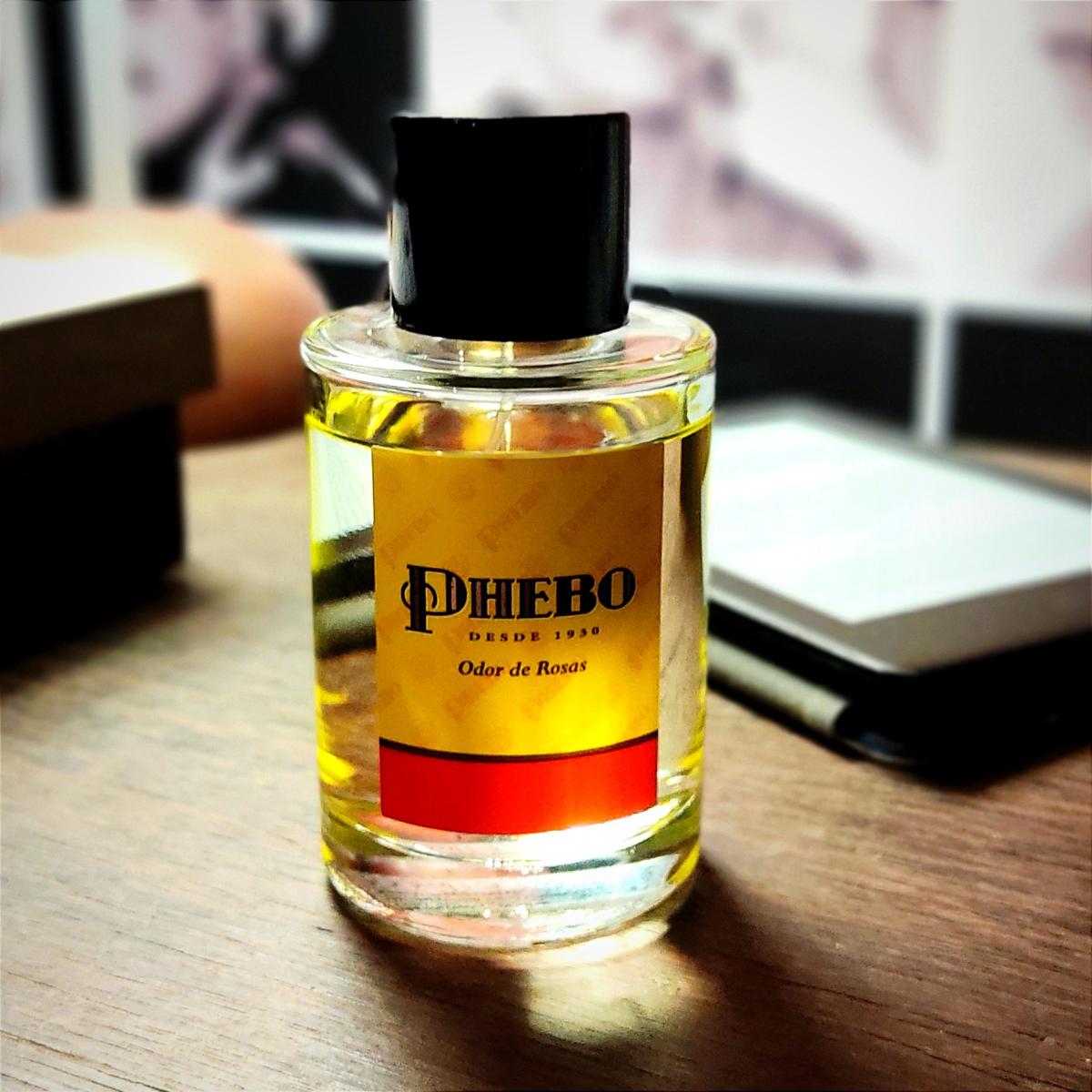 Odor de Rosas Phebo perfume - a fragrance for women and men 2020