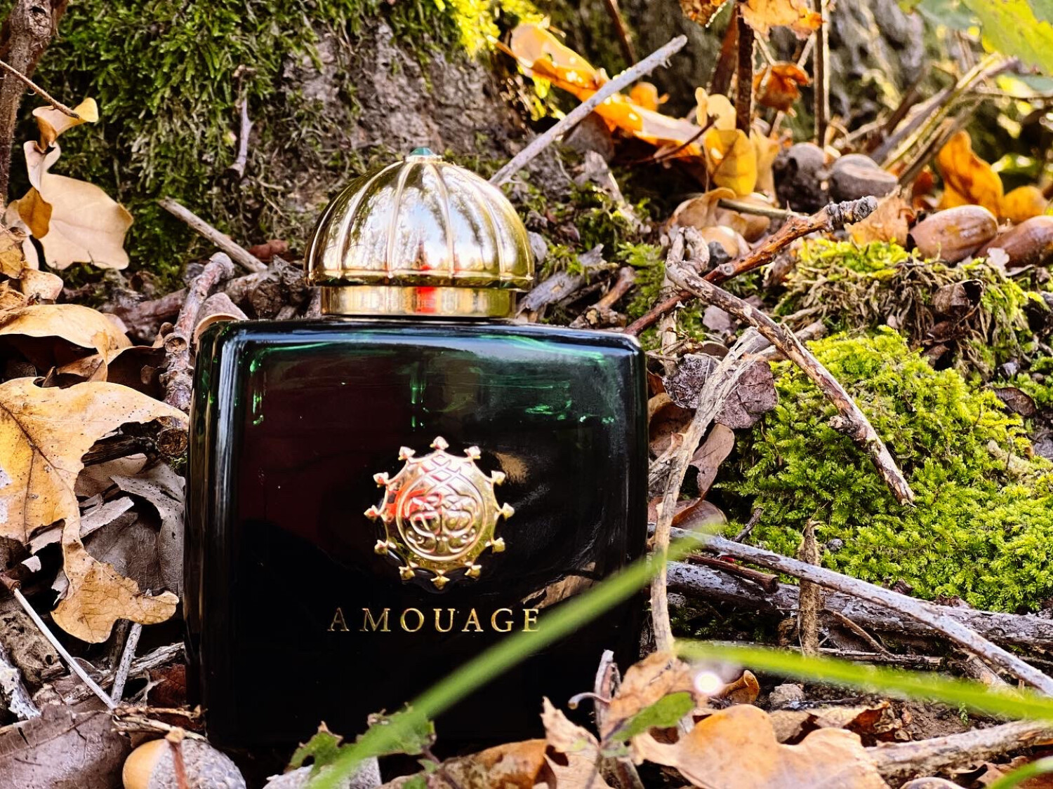 Epic 56 Woman Amouage perfume - a fragrance for women 2021