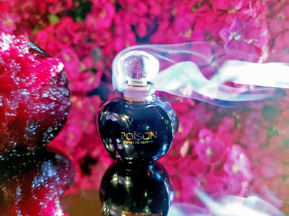 Poison Dior perfume - a fragrância Feminino 1985
