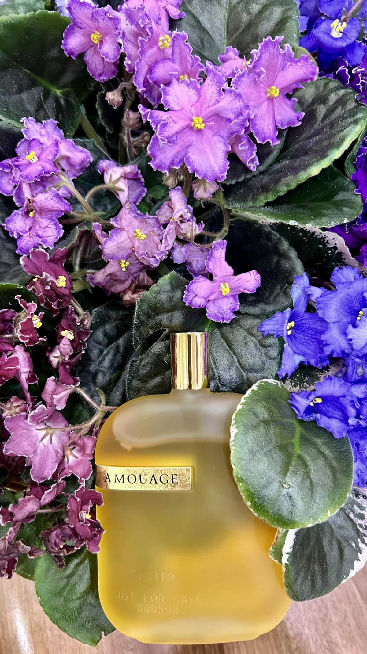 The Library Collection Opus III Amouage perfume - a fragrance for women ...