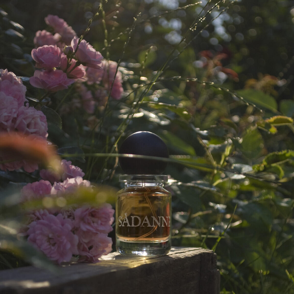 Sadanne Slumberhouse perfume - a fragrance for women and men 2014