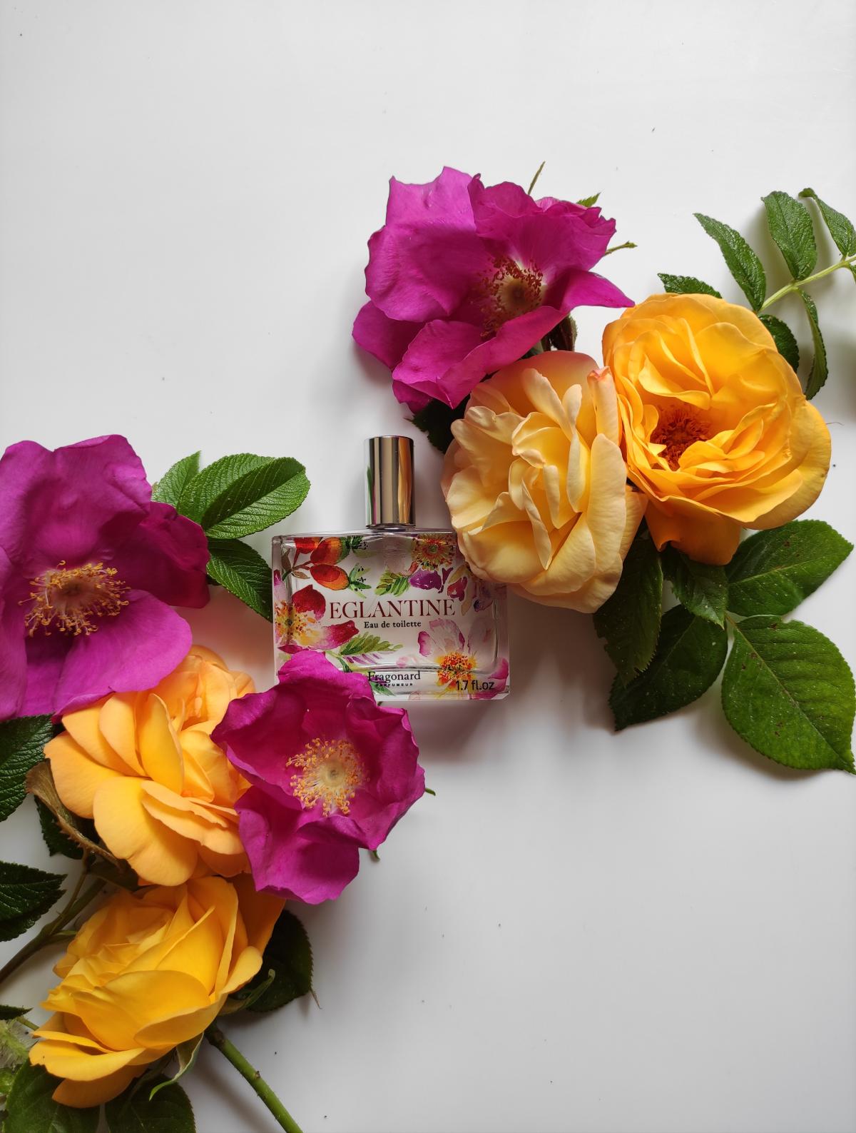 Eglantine Fragonard perfume - a fragrance for women 2022