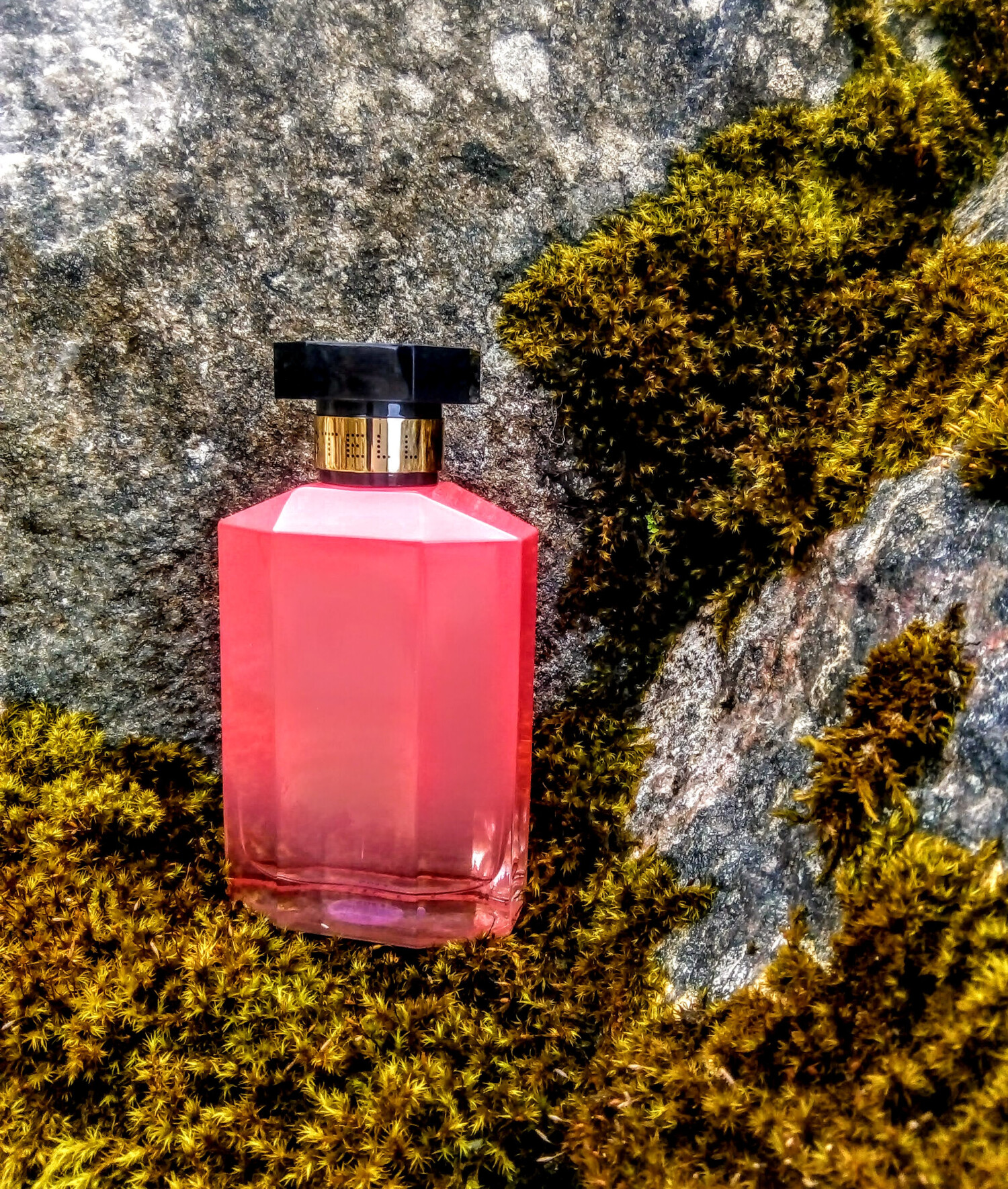 Stella Peony Stella McCartney perfume - a fragrance for women 2017