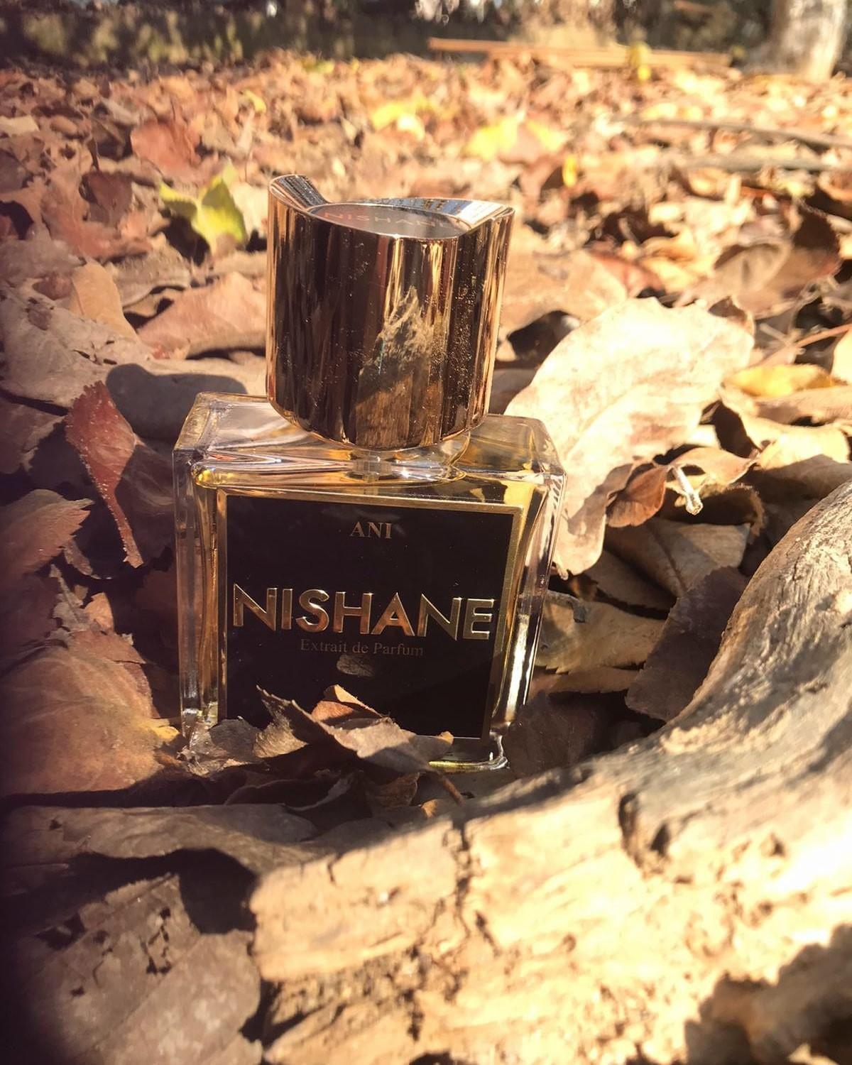 Ani Nishane perfume - a fragrance for women and men 2019