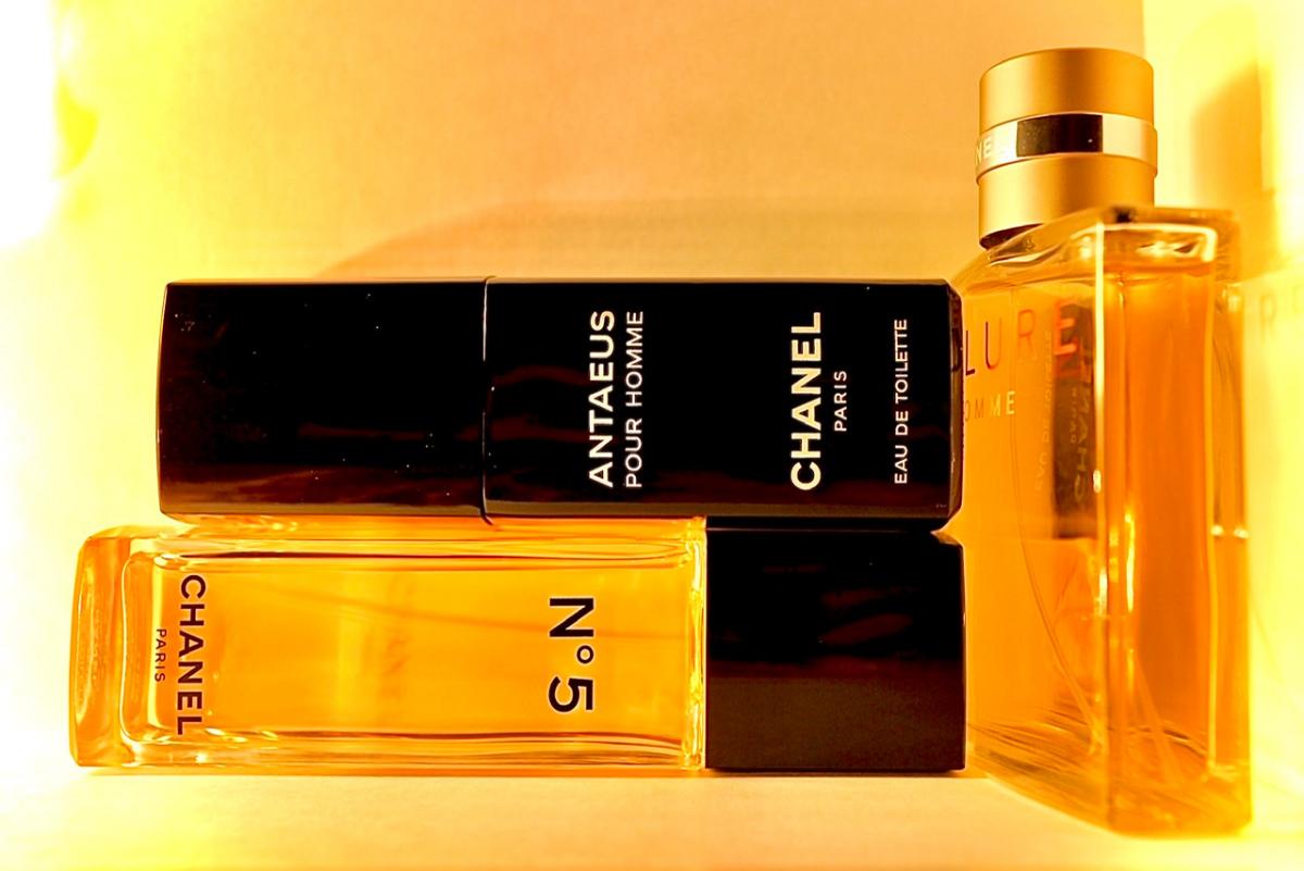 Antaeus Chanel cologne - a fragrance for men 1981