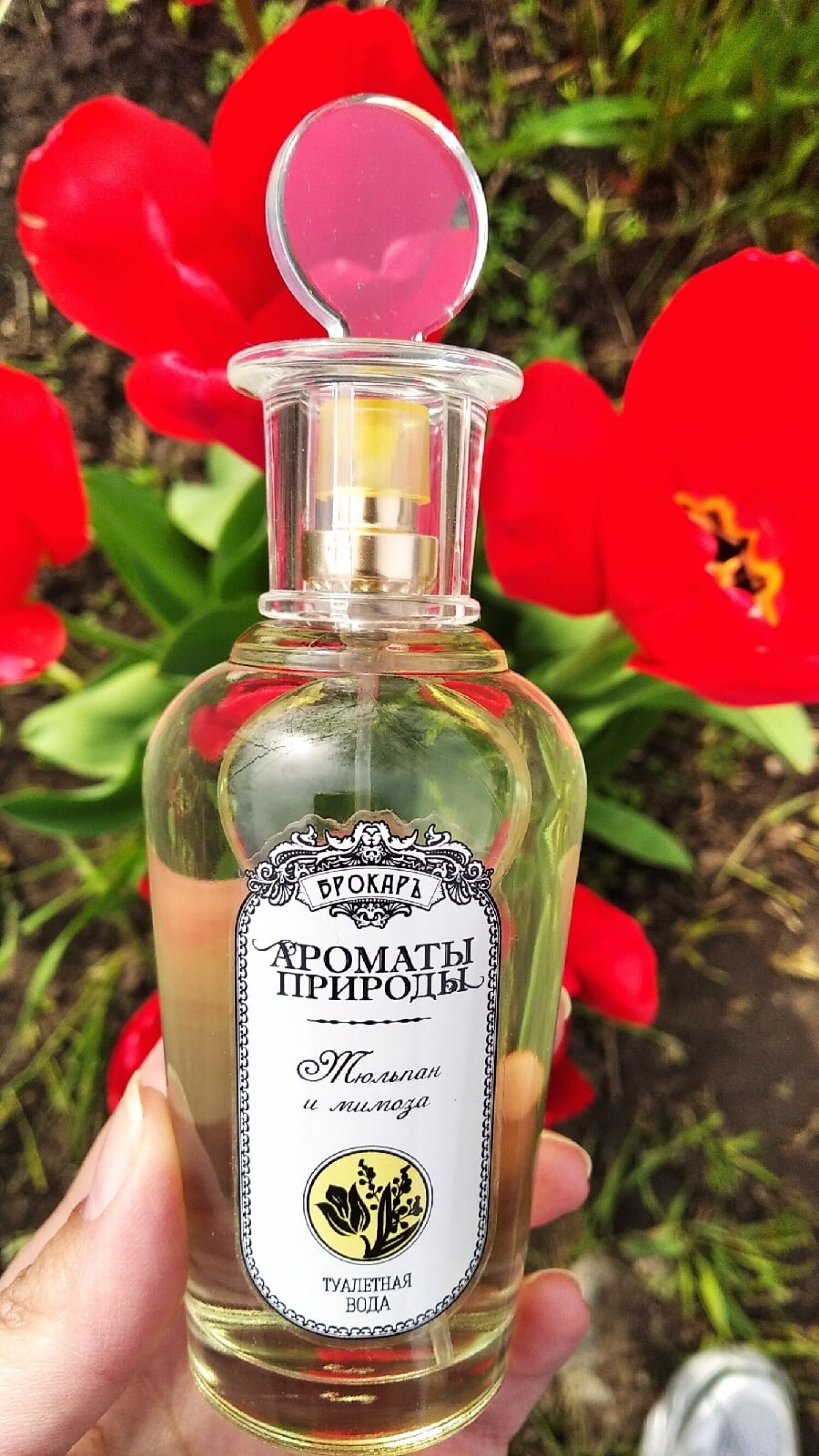 Тюльпан и мимоза - Tulip and Mimosa Brocard عطر - a fragrance للنساء 2018