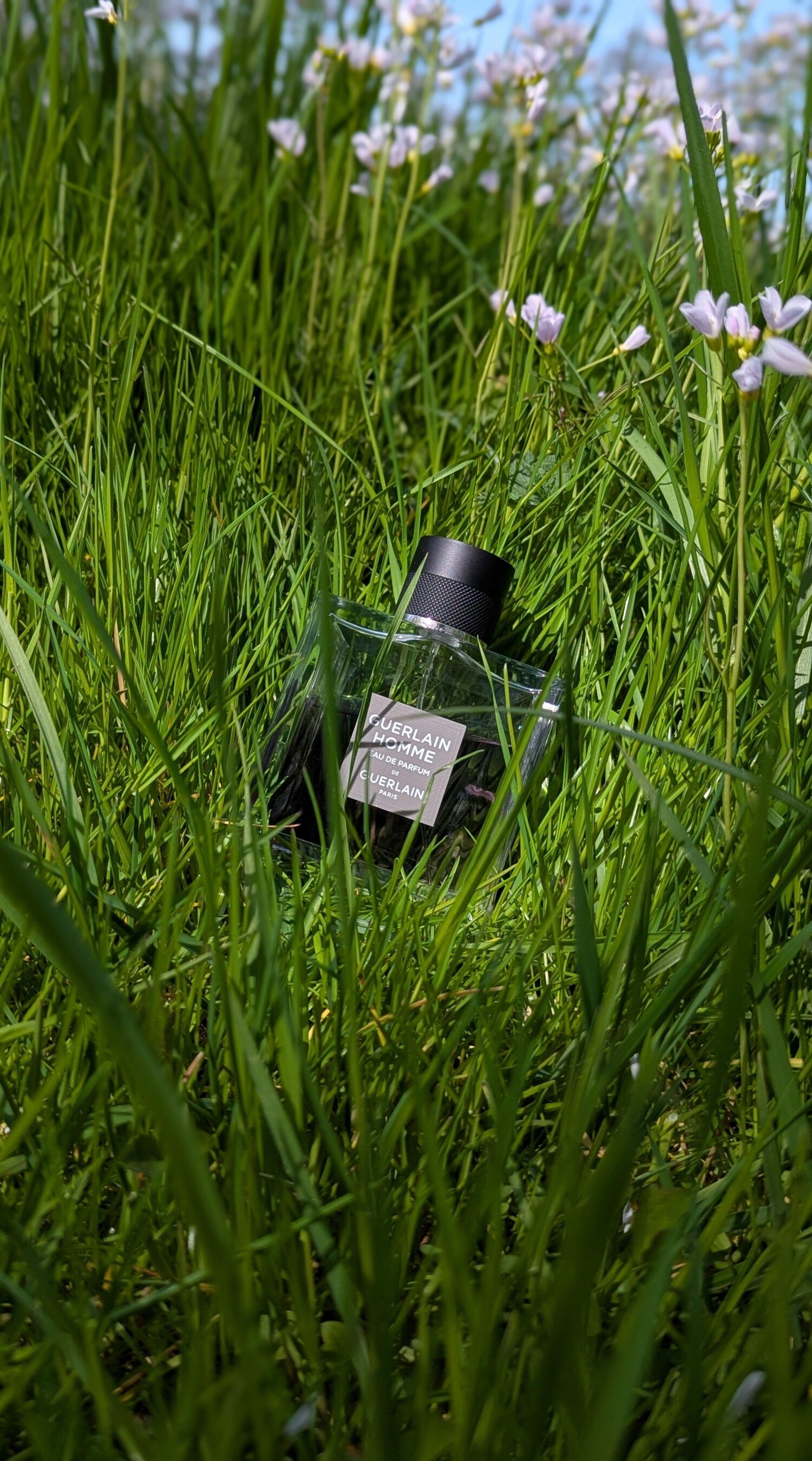 Guerlain Homme Eau de Parfum (2016) Guerlain cologne - a fragrance for ...