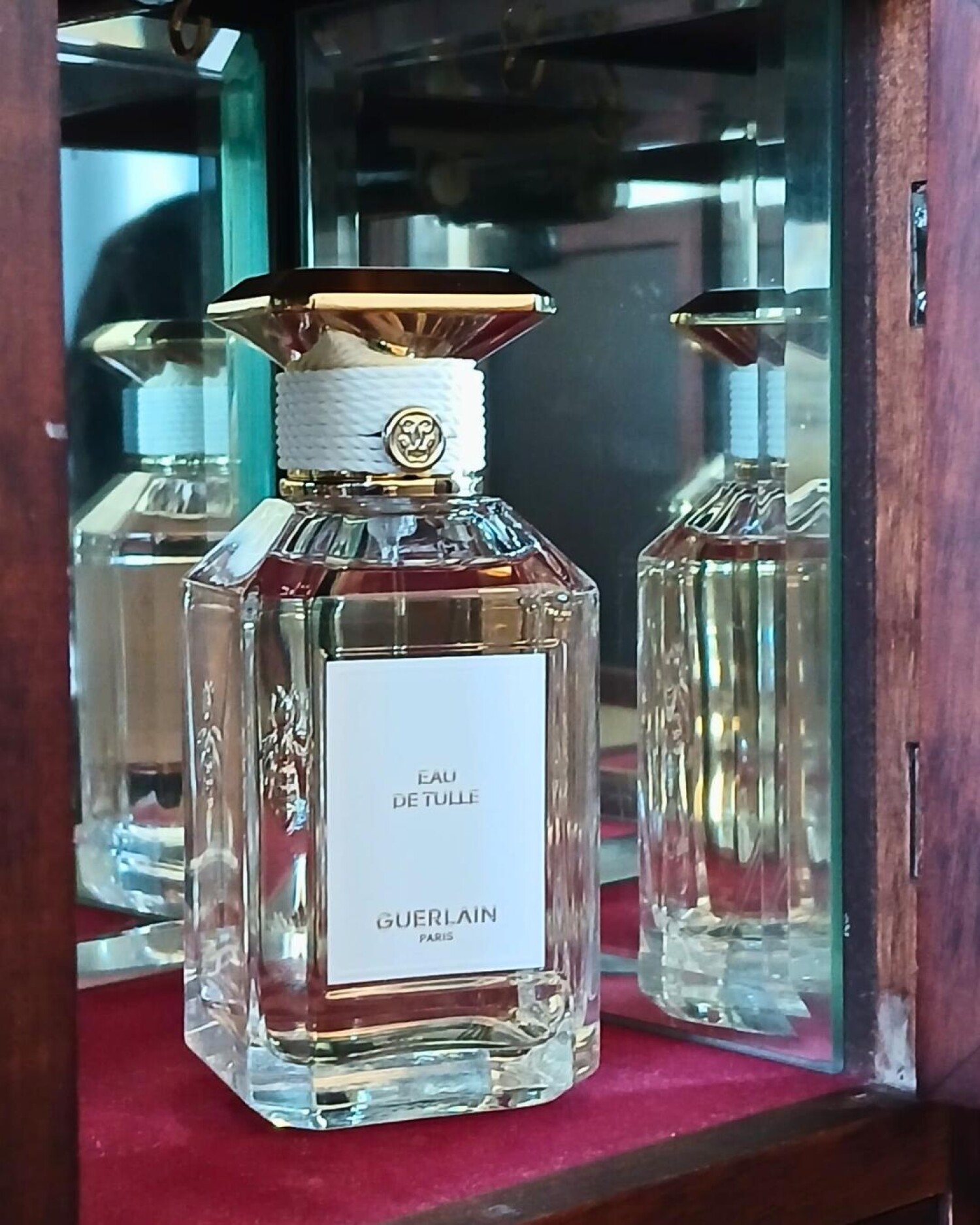 Eau de Tulle Guerlain perfume - a new fragrance for women and men 2026
