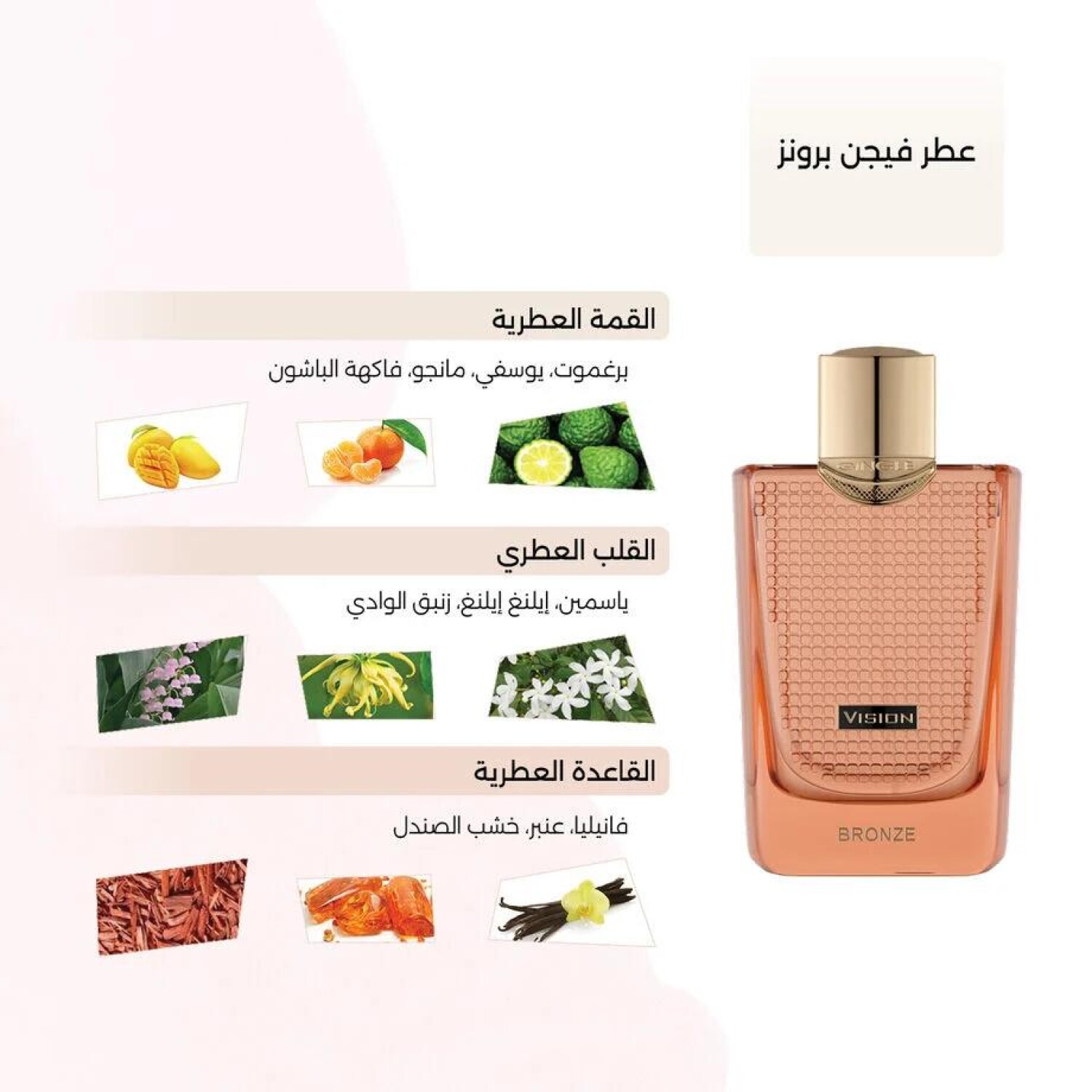 Vision Bronze Gingle cologne - a new fragrance for men 2025