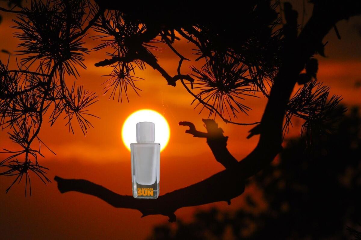 Sun Jil Sander perfume - a fragrance for women 1989