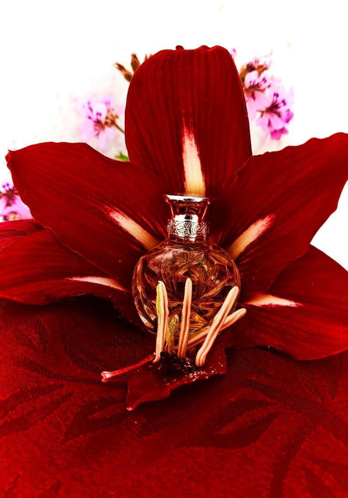 Safari Ralph Lauren perfume - a fragrance for women 1990