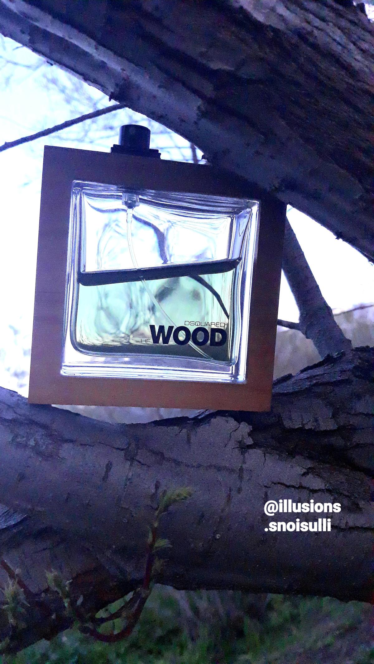 He Wood DSQUARED² cologne - a fragrance for men 2007