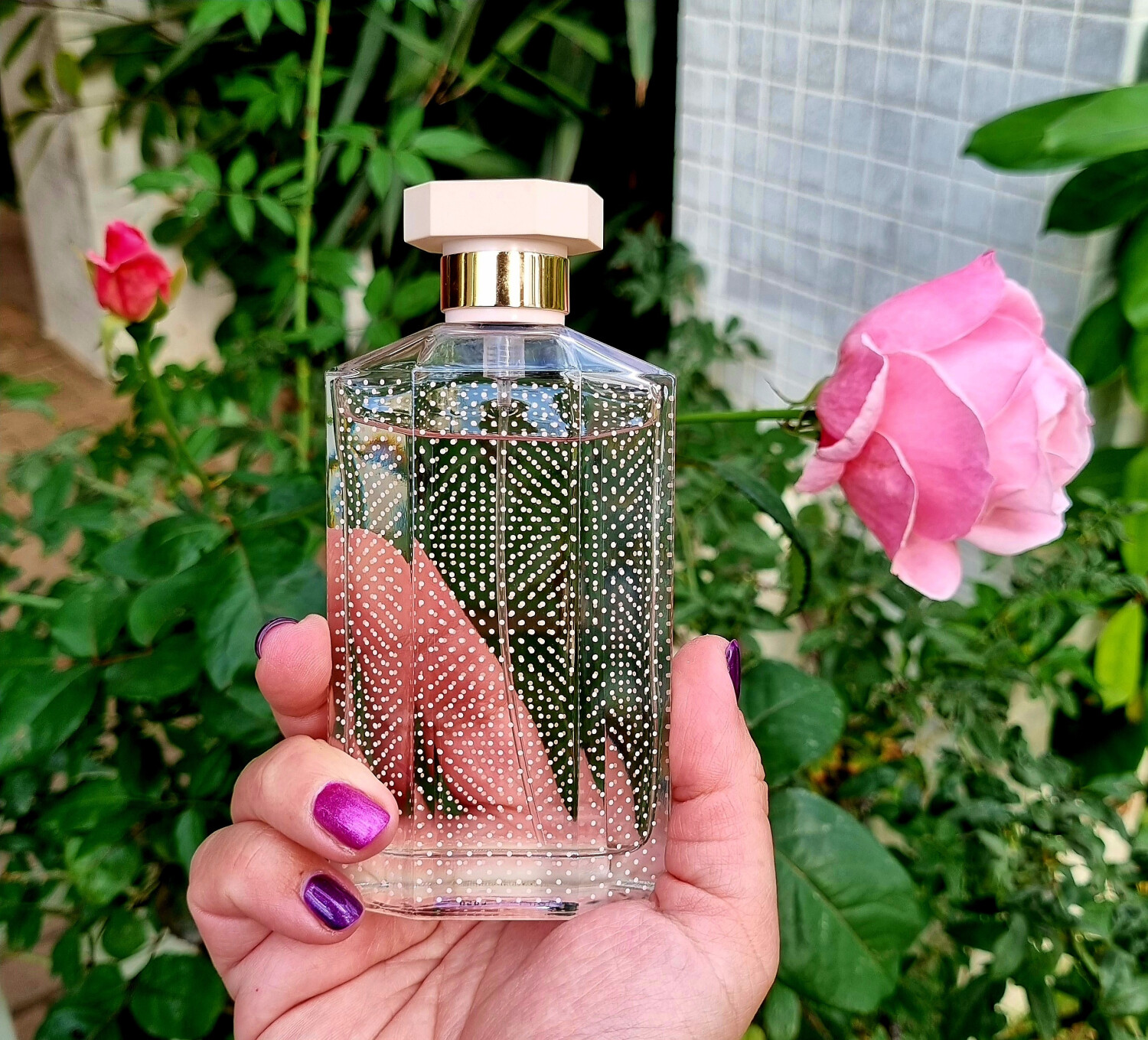 Stella Eau de Toilette Stella McCartney perfume - a fragrance for women ...